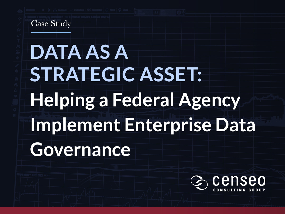 Data as a Strategic Asset: Helping a Federal Agency Implement ...